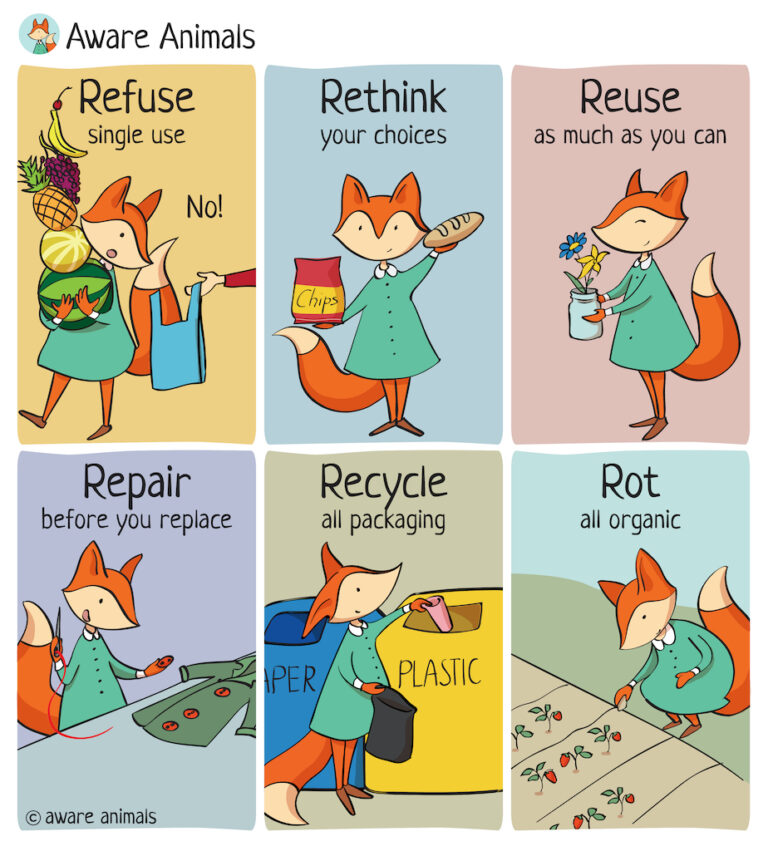 Fun Tips for Sustainable Living with Aware Animals - CINDY MARIE